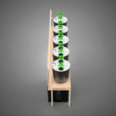 Hydroponic Growth Plant Farming Bucket Dutch Bato System DIY - 3D Model ...