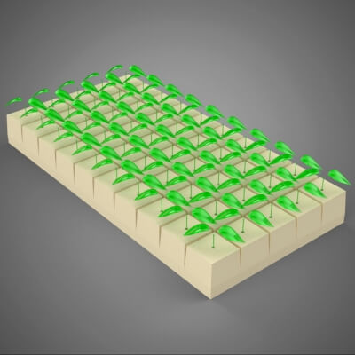 Stonewool Rockwool Polyurethane Horticultural Foam Sponge 50 - 3D Model ...