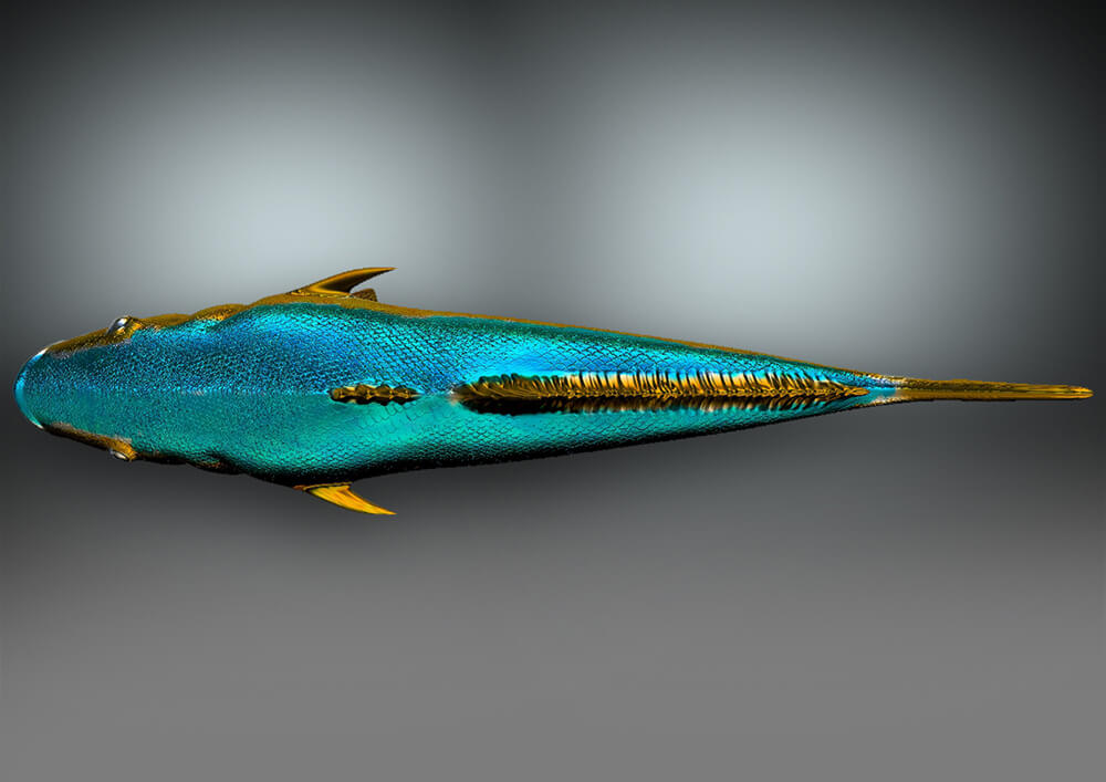 Human&Fish Trophy - 3D Model by t rex