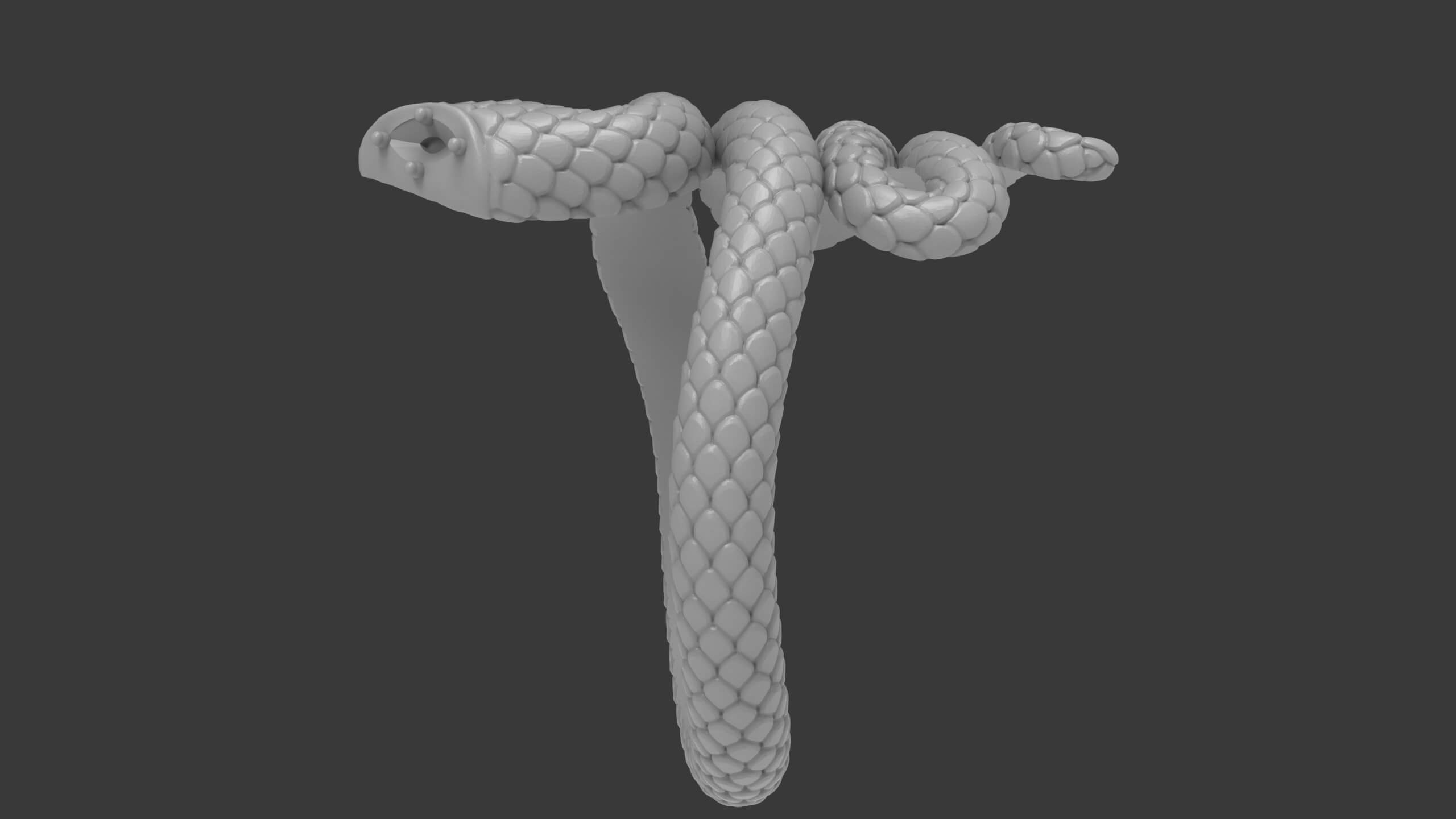 Snake Ring - 3D Model by TahmAz