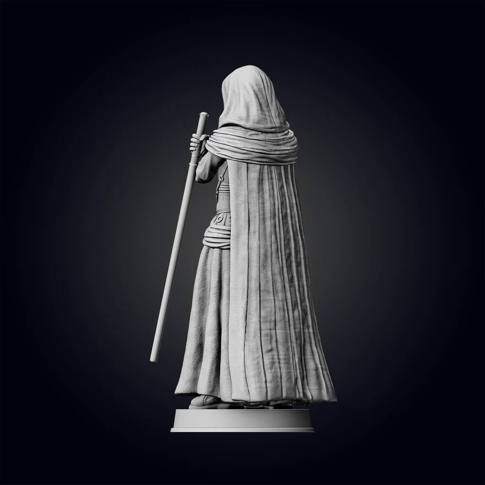 Darth Revan - Star Wars 3D Model by Tan Wan Lin Breda