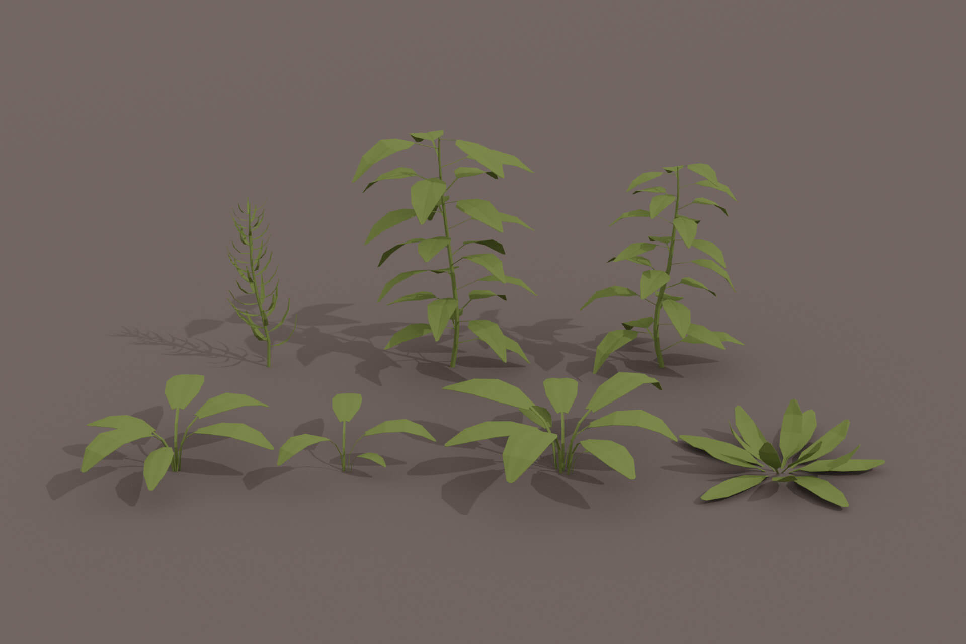 Plants LowPoly Pack - 3D Model by Tarasov3D