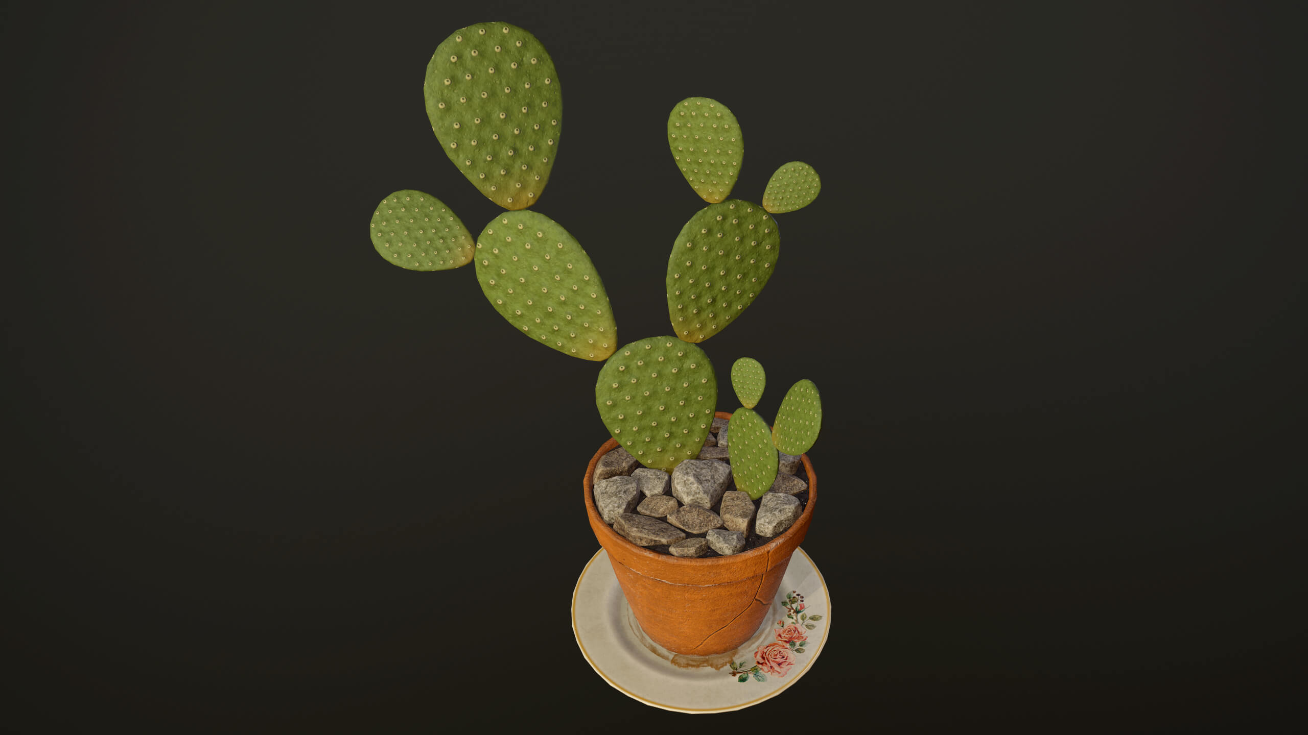 Cactus Plant 01 - 3D Model by Tatiana Gladkaya
