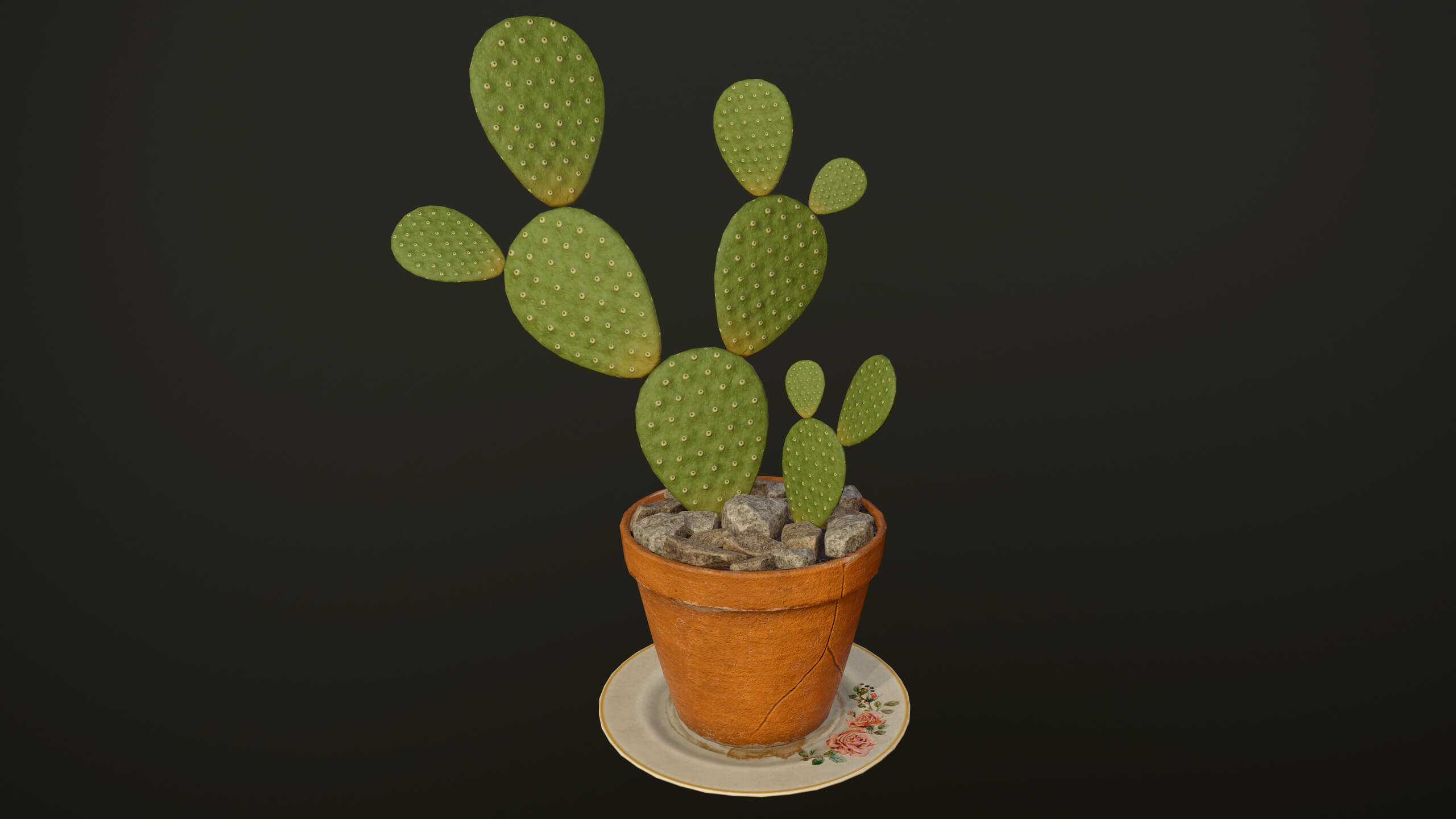 Cactus Plant 01 - 3D Model by Tatiana Gladkaya