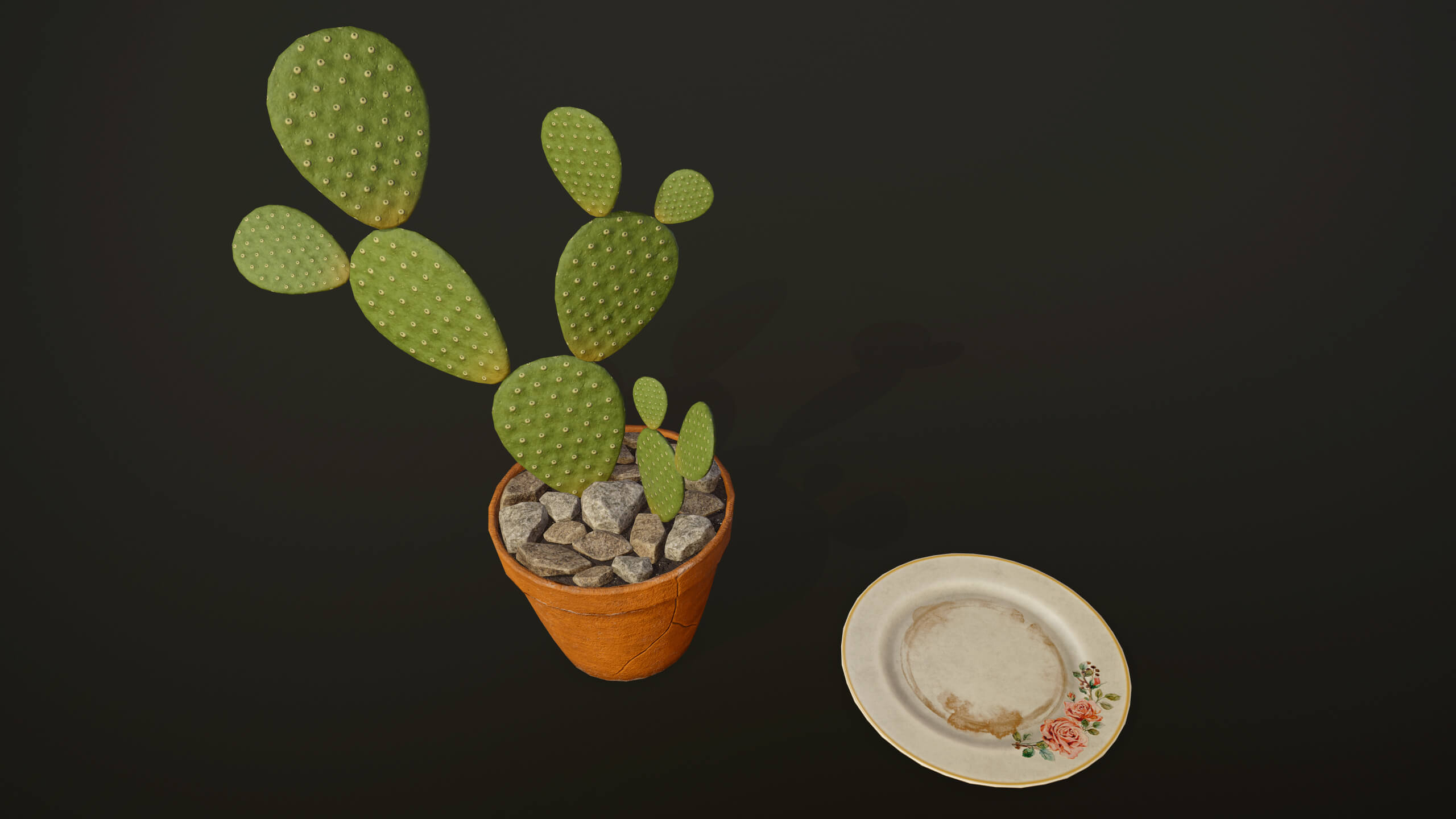 Cactus Plant 01 - 3D Model by Tatiana Gladkaya