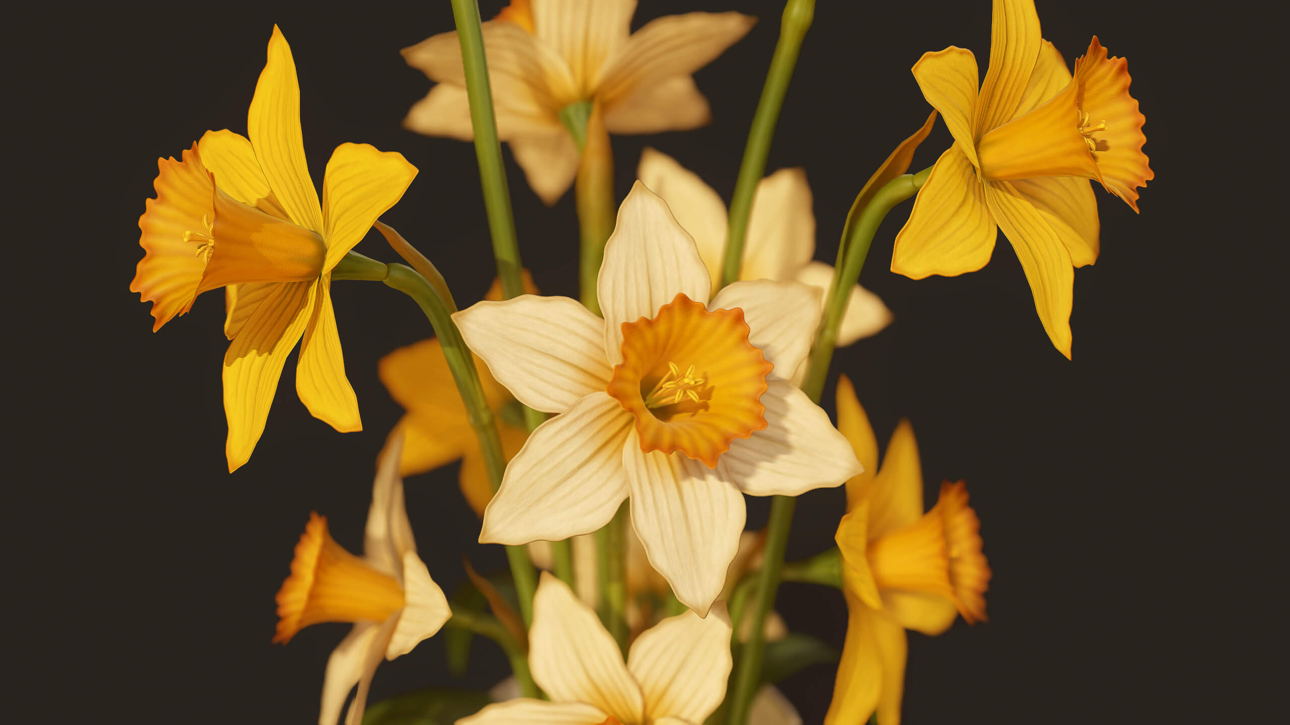 Daffodils Narcissus Flower. Bouquet With Daffodils - 3D Model by ...