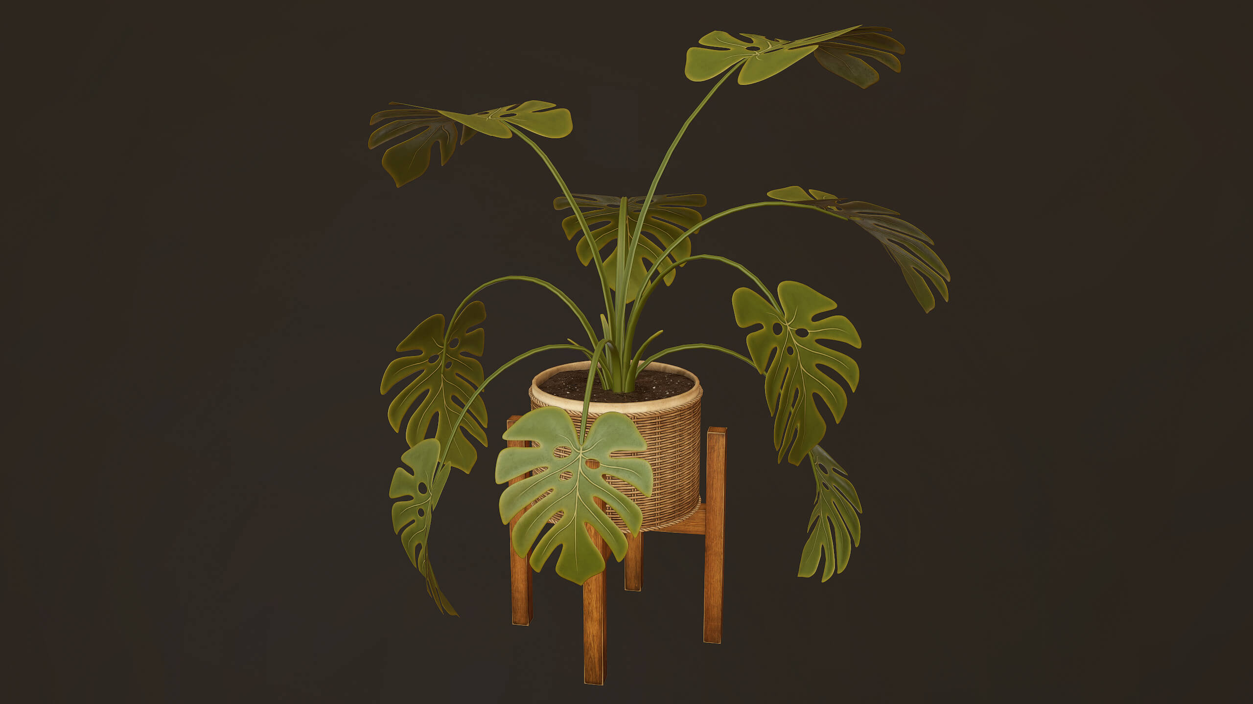 House Plant Monstera - 3D Model by Tatiana Gladkaya