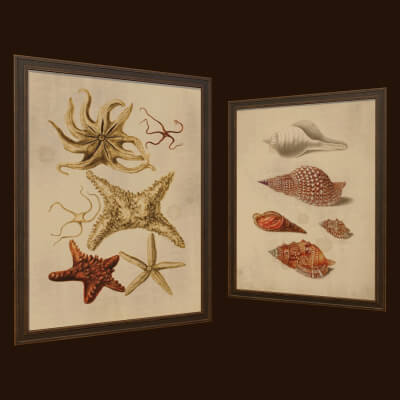 Free 3D Models | Decorations | Picture Frames | RenderHub