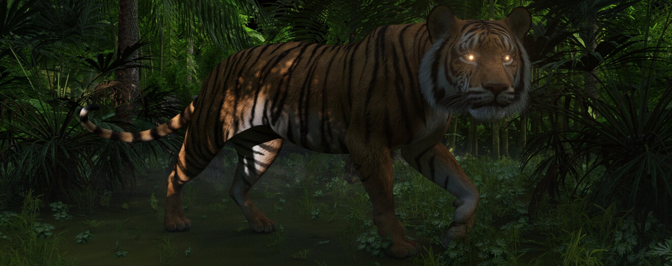 Asian Tiger 5 3D Render, Digital Art by TeddyBlackBear