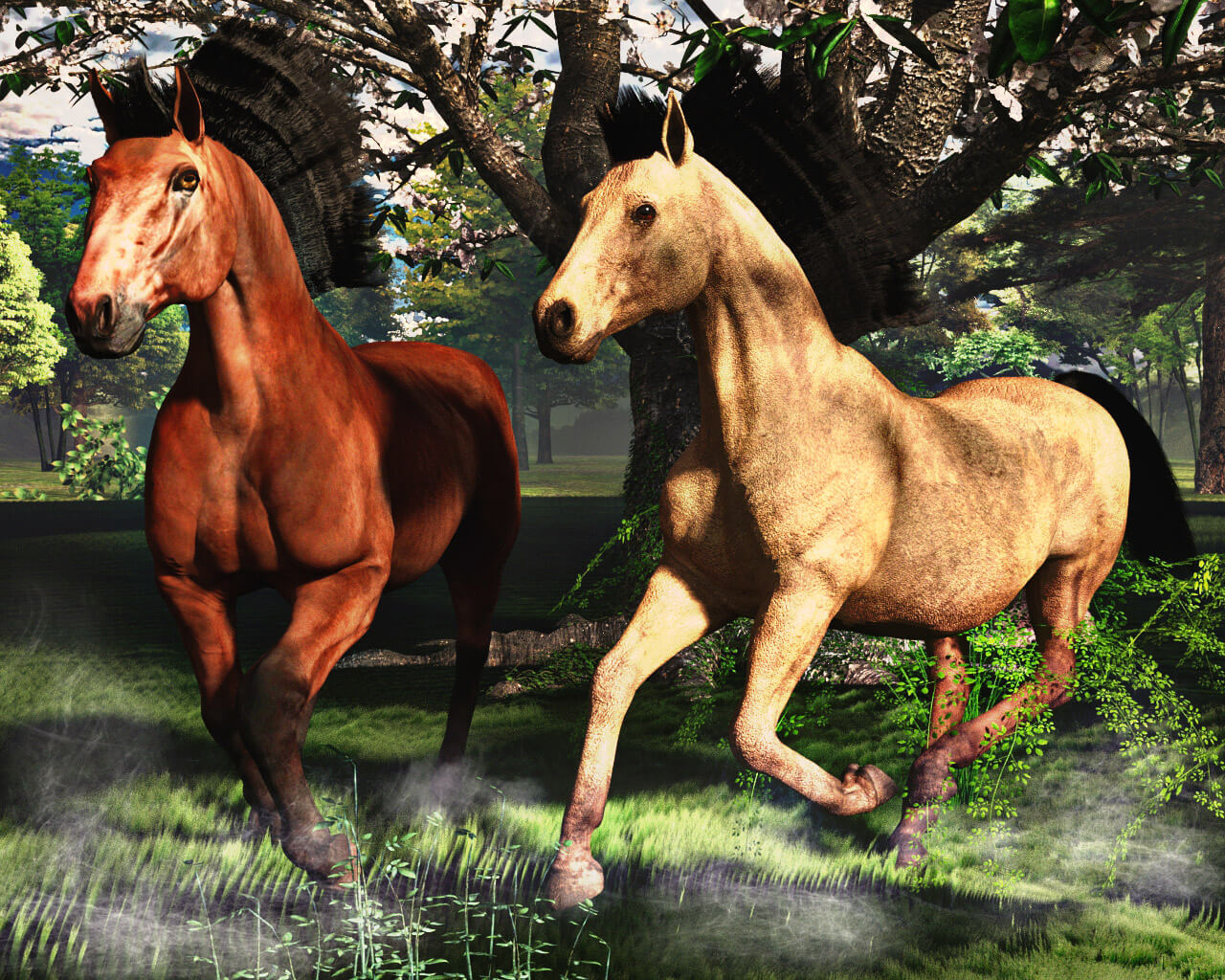 Horses 3D Render, Digital Art by TeddyBlackBear
