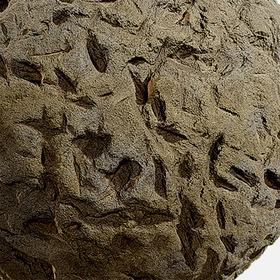 Stylized Bark Seamless Texture by zames1992d