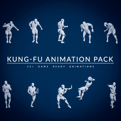 Kung-Fu Animation Pack Animation/MoCap by That Indian Animator