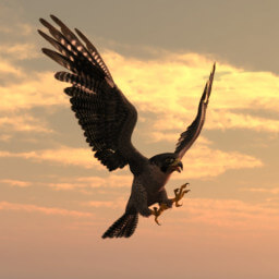 3D Art Gallery by The hawk at RenderHub