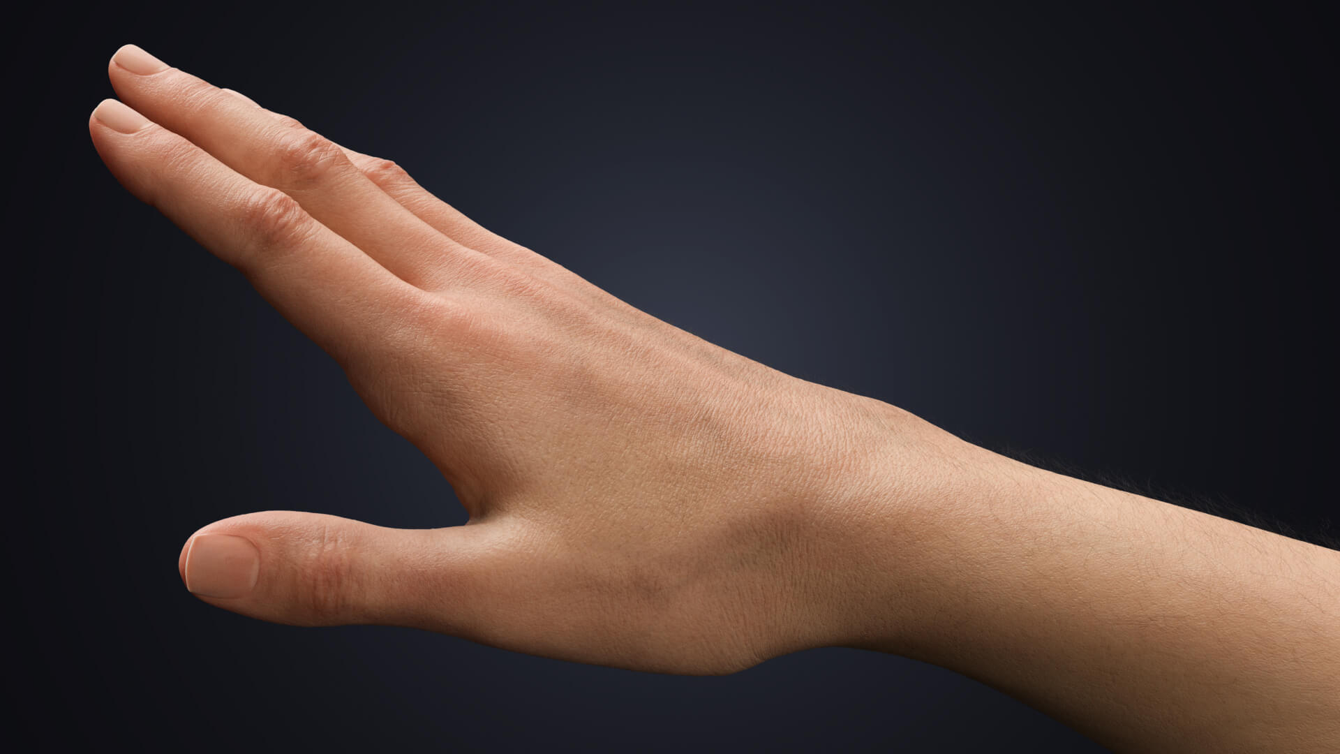 Realistic Rigged Arm V2 - 3D Model by TheCatEmpire