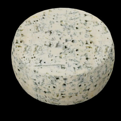 Blue Round Cheese - 3D Model by thedazking