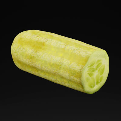 Cucumber Pickle Half - 3D Model by thedazking