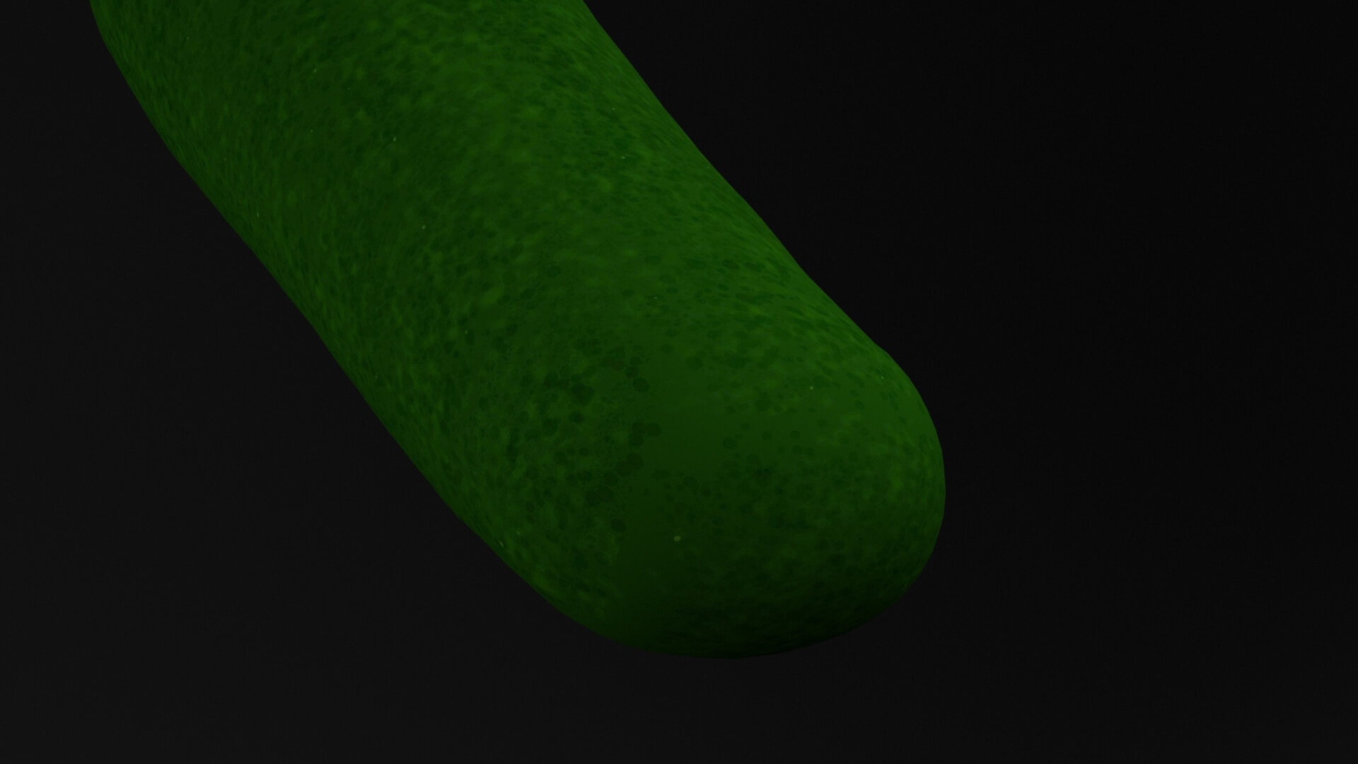 Cucumber Pickle - 3D Model by thedazking