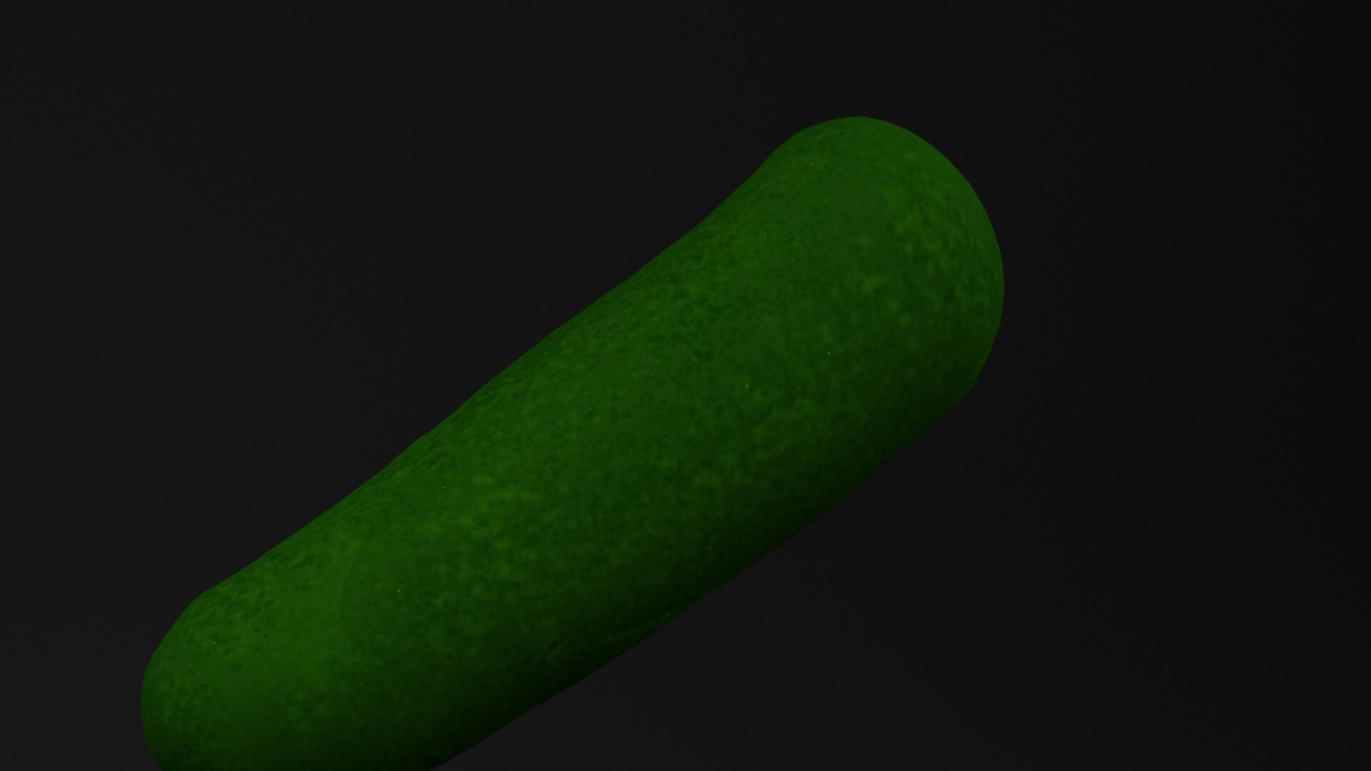 Cucumber Pickle - 3D Model by thedazking