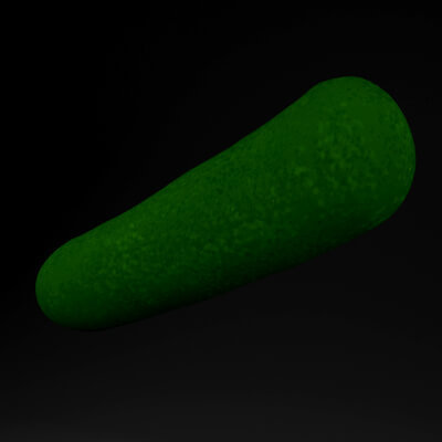 Cucumber Pickle - 3D Model by thedazking