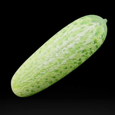 Realistic Cucumber - 3D Model by thedazking