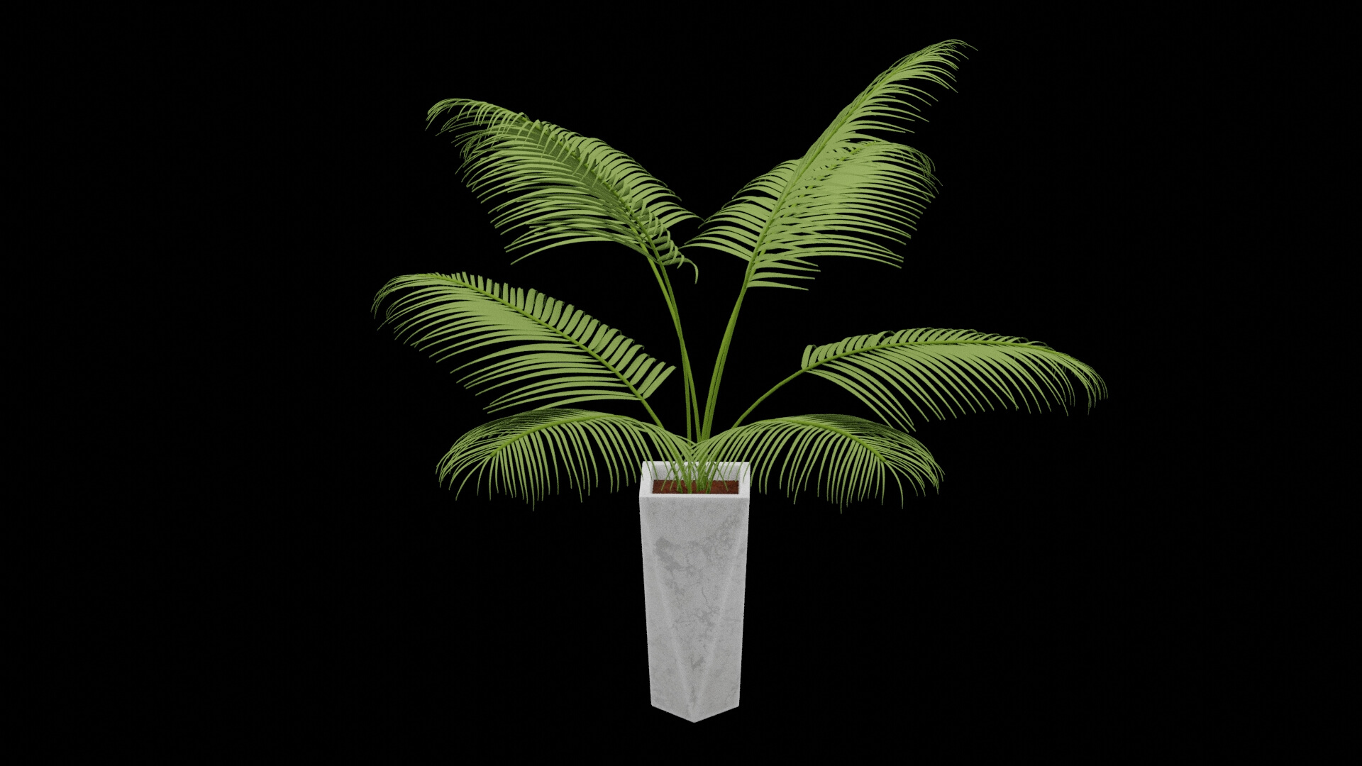 Fern Plant Decor - 3D Model by thedazking