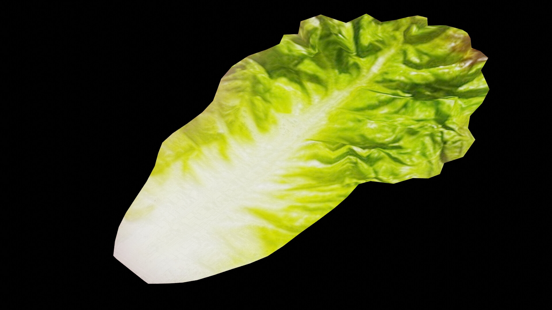 Lettuce Vegetable - 3D Model by thedazking