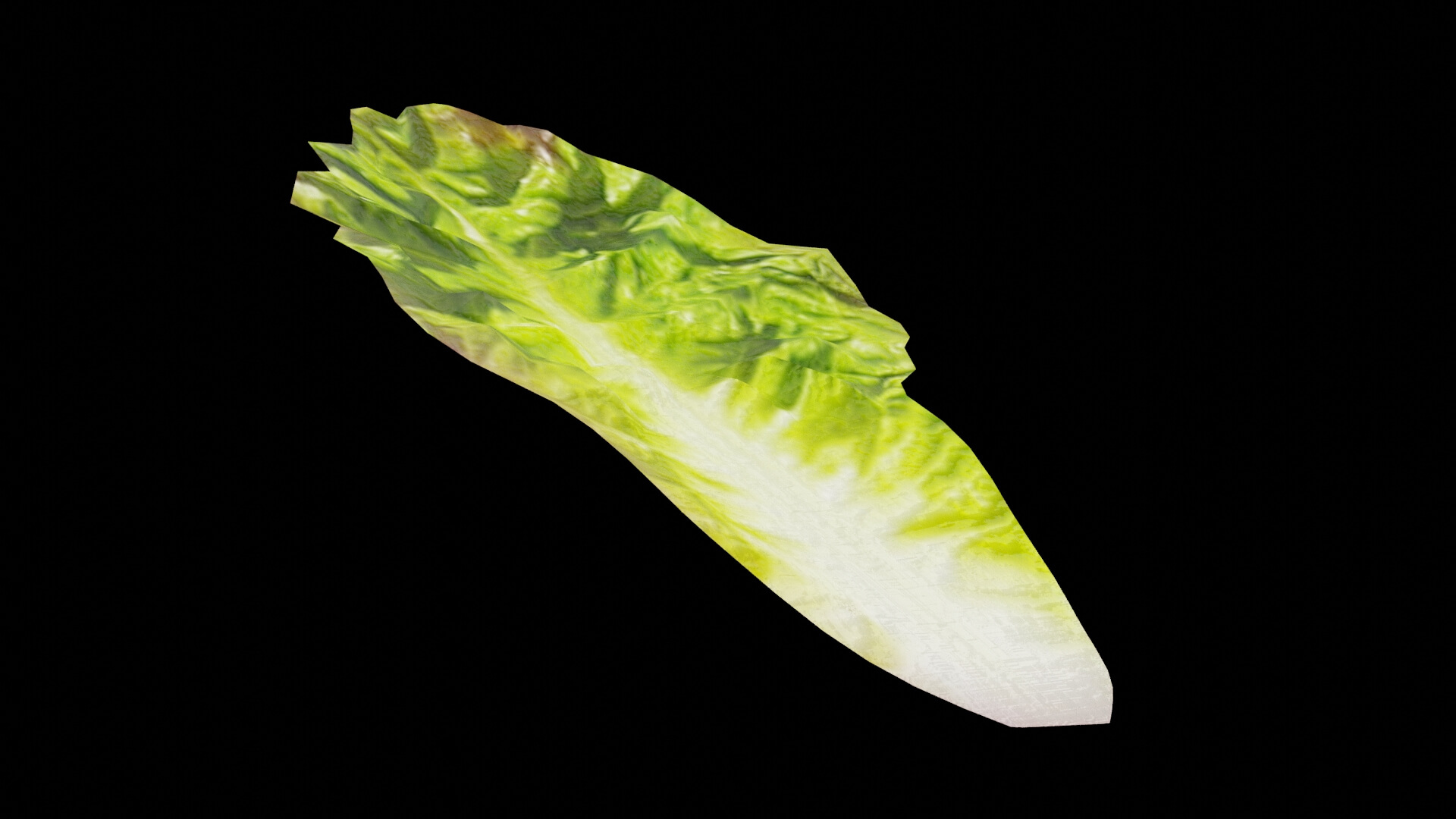 Lettuce Vegetable - 3D Model by thedazking