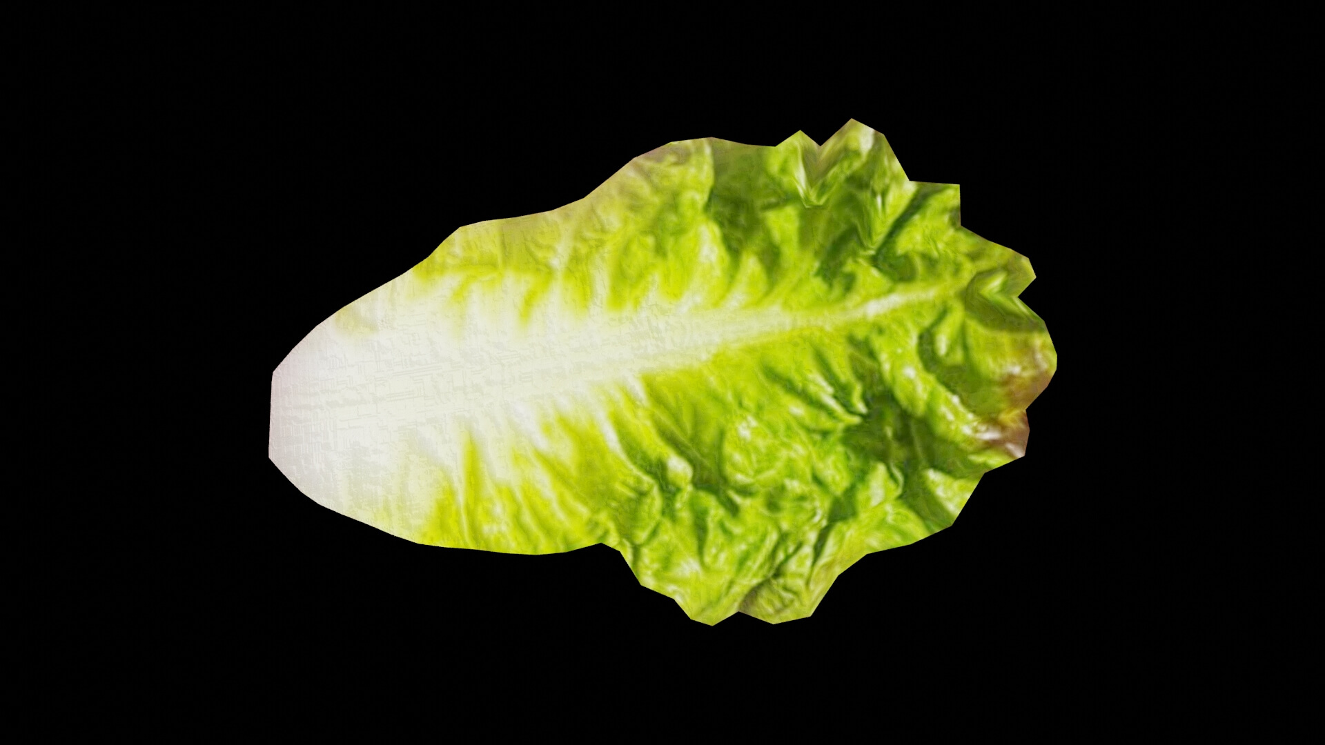 Lettuce Vegetable - 3D Model by thedazking