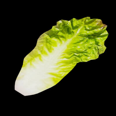 Lettuce Vegetable - 3D Model by thedazking
