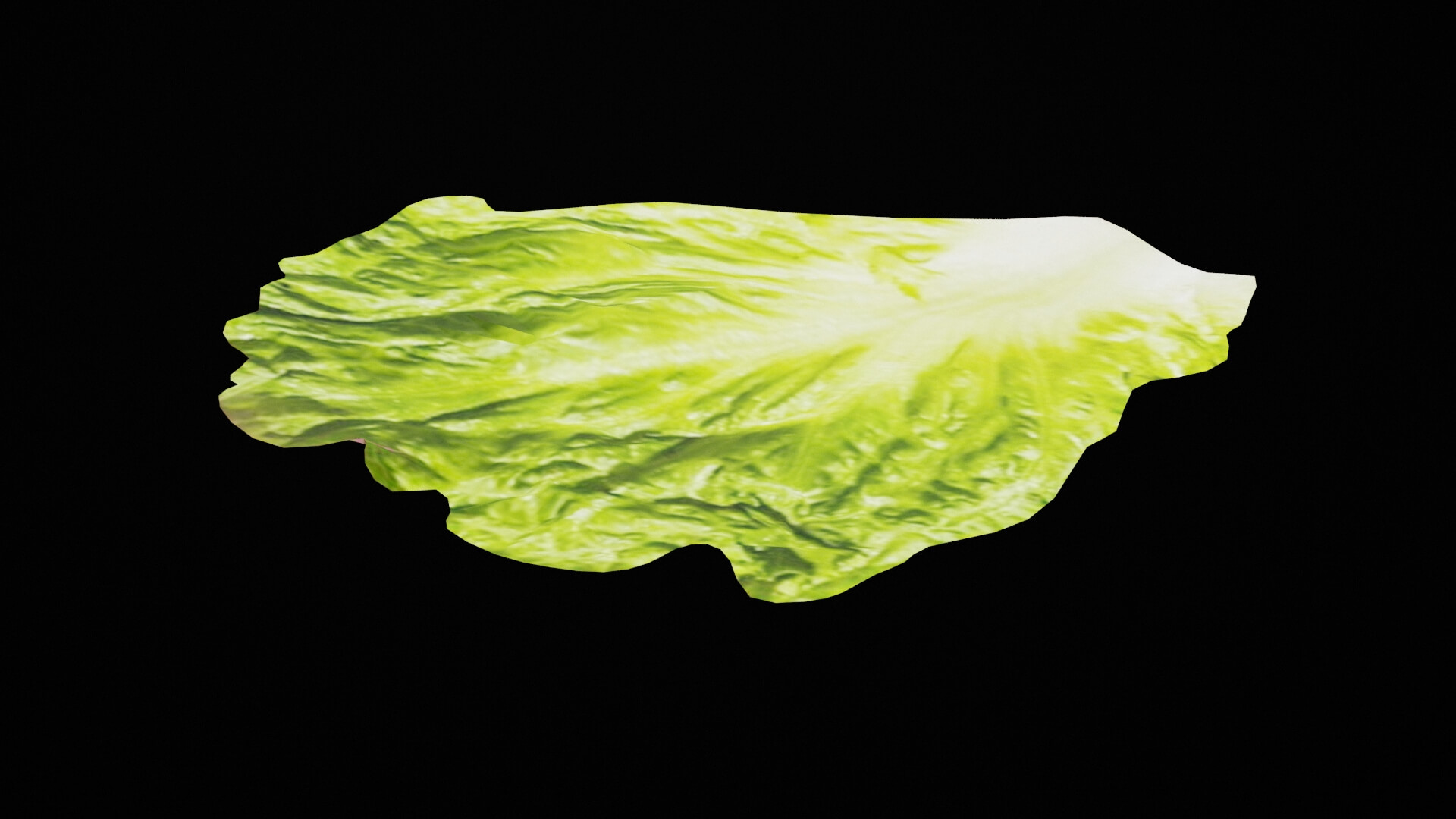 Lettuce Vegetable - 3D Model by thedazking