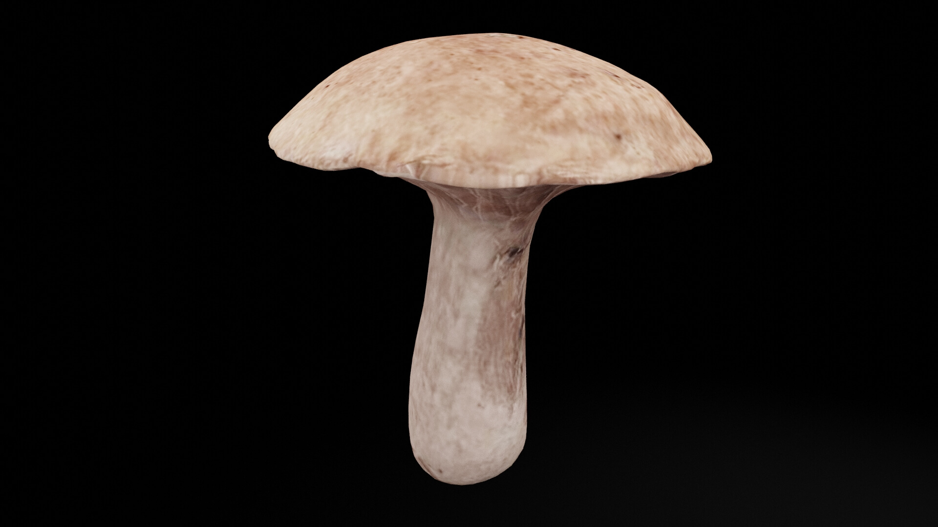 Mushroom Vegetable - 3D Model by thedazking