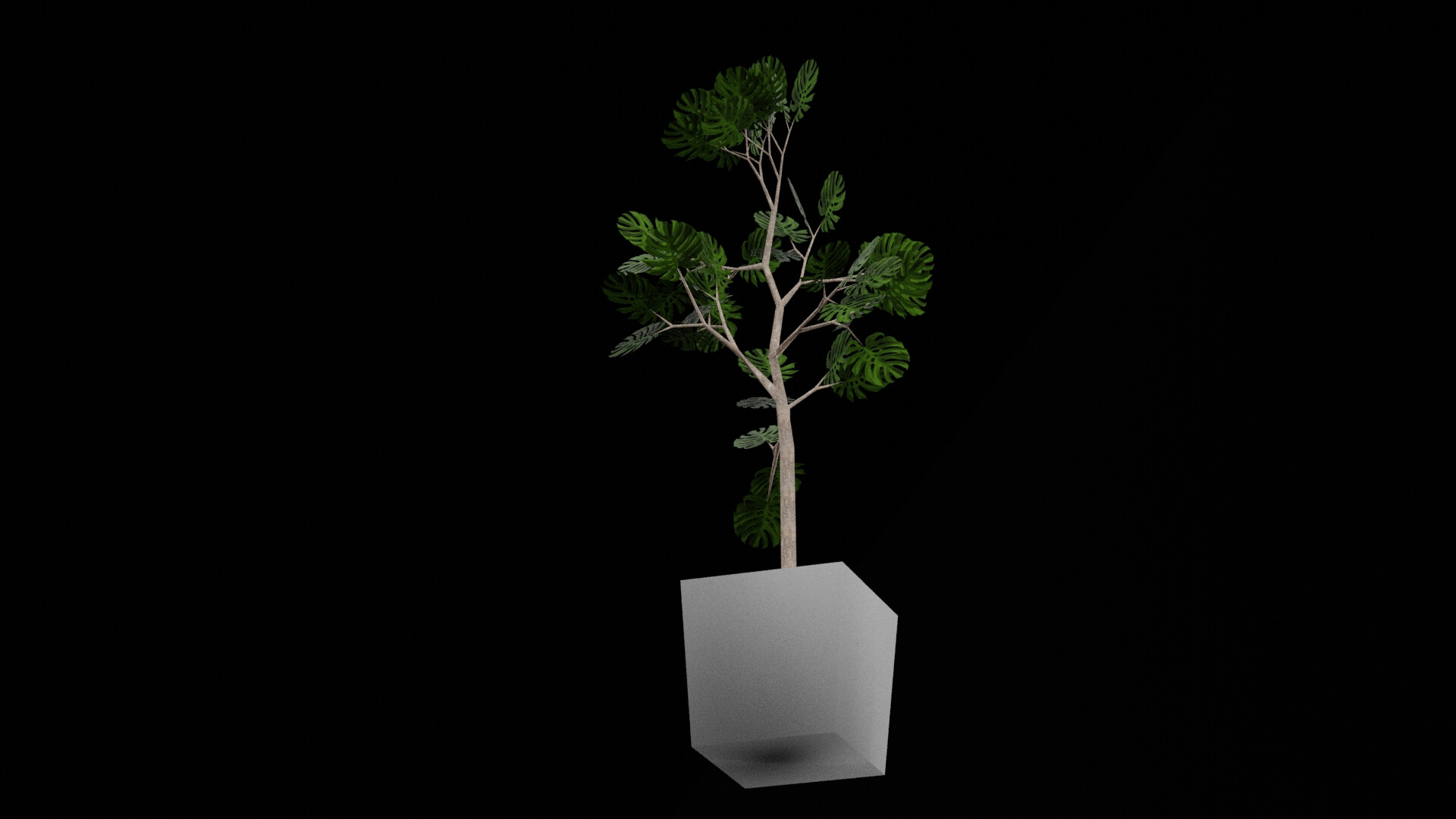 Palm Tree Plant - 3D Model by thedazking