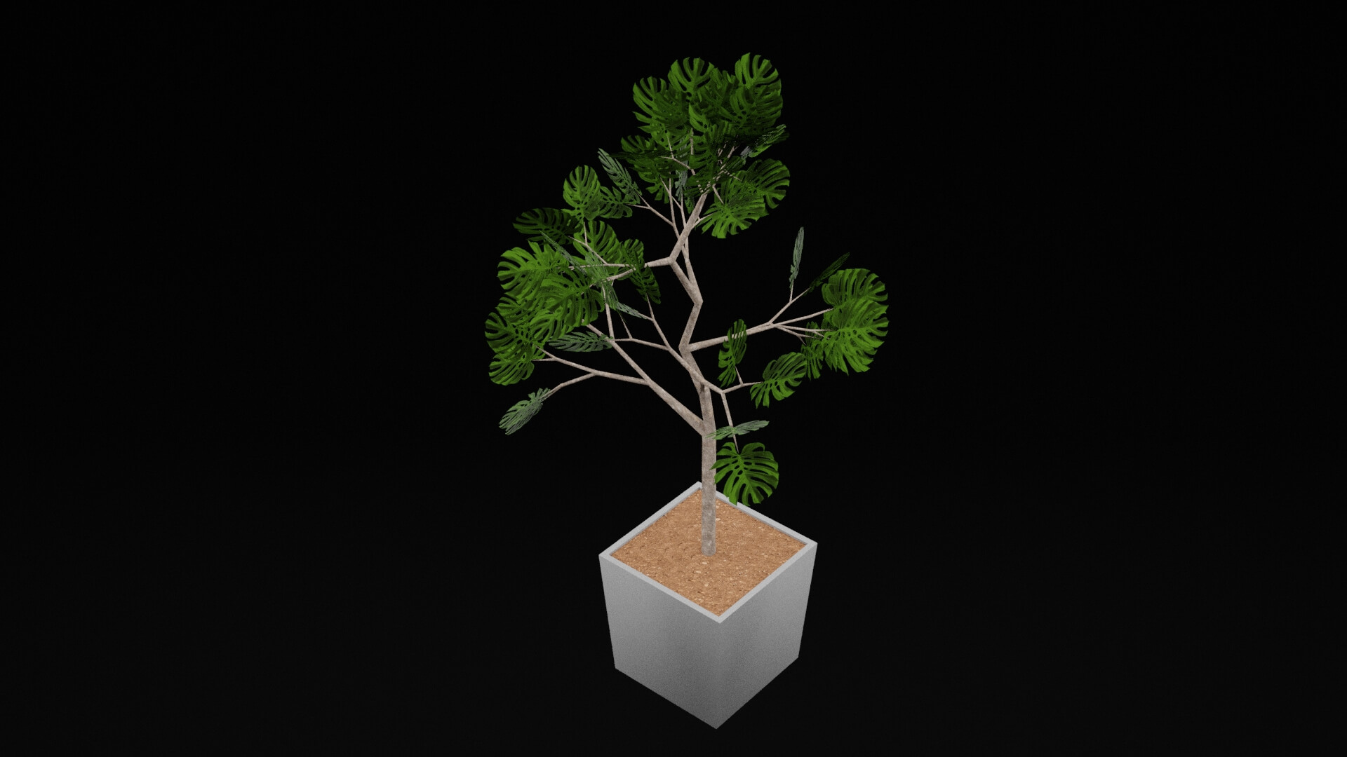 Palm Tree Plant - 3D Model by thedazking