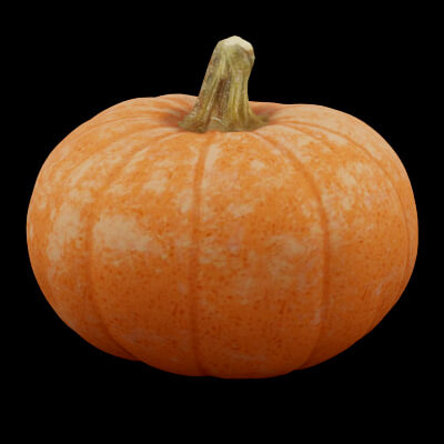 Pumpkin Fruit - 3D Model by thedazking