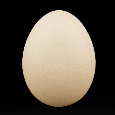 Realistic Egg - 3D Model by thedazking
