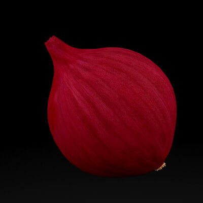 Realistic Red Onion - 3D Model by thedazking