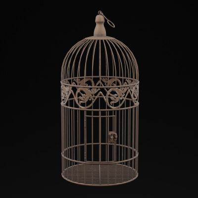 Rusty Bird Cage - 3D Model by thedazking