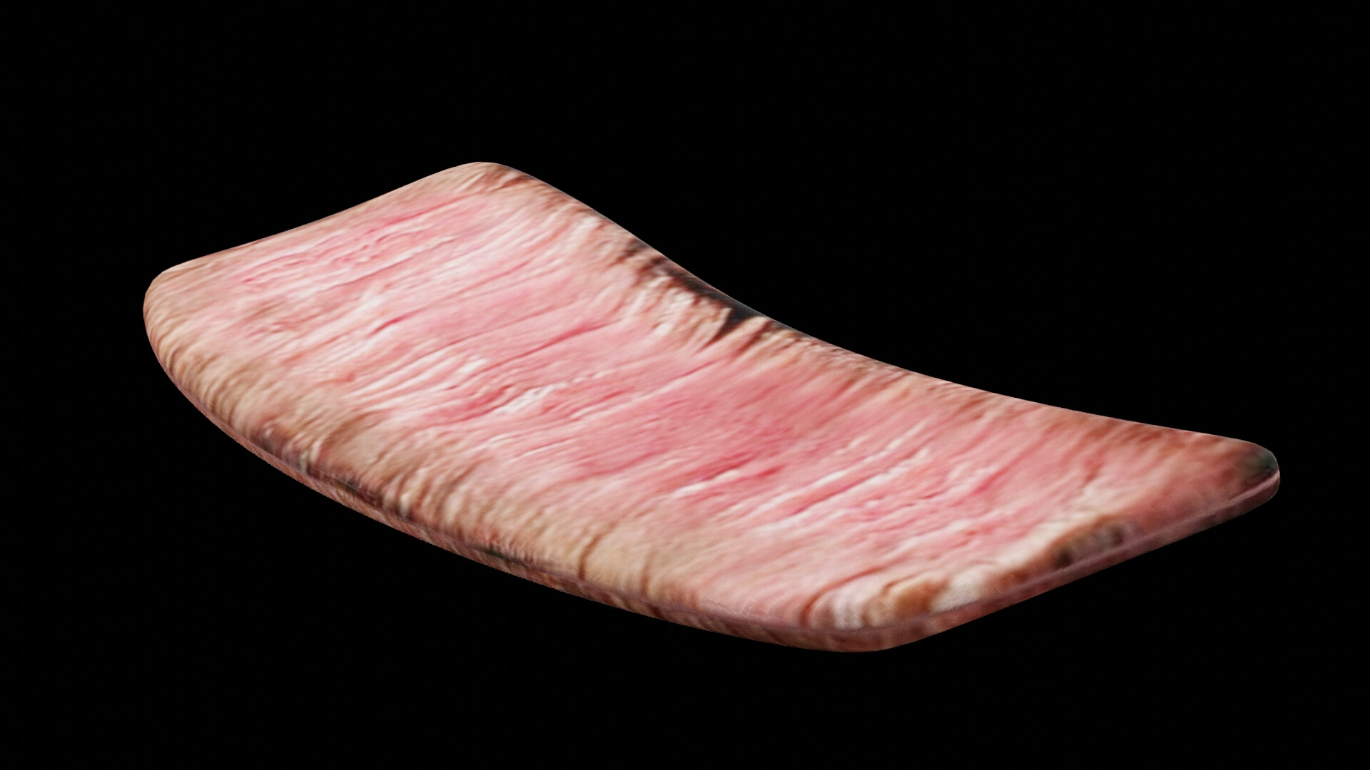 Slice of Beef - 3D Model by thedazking
