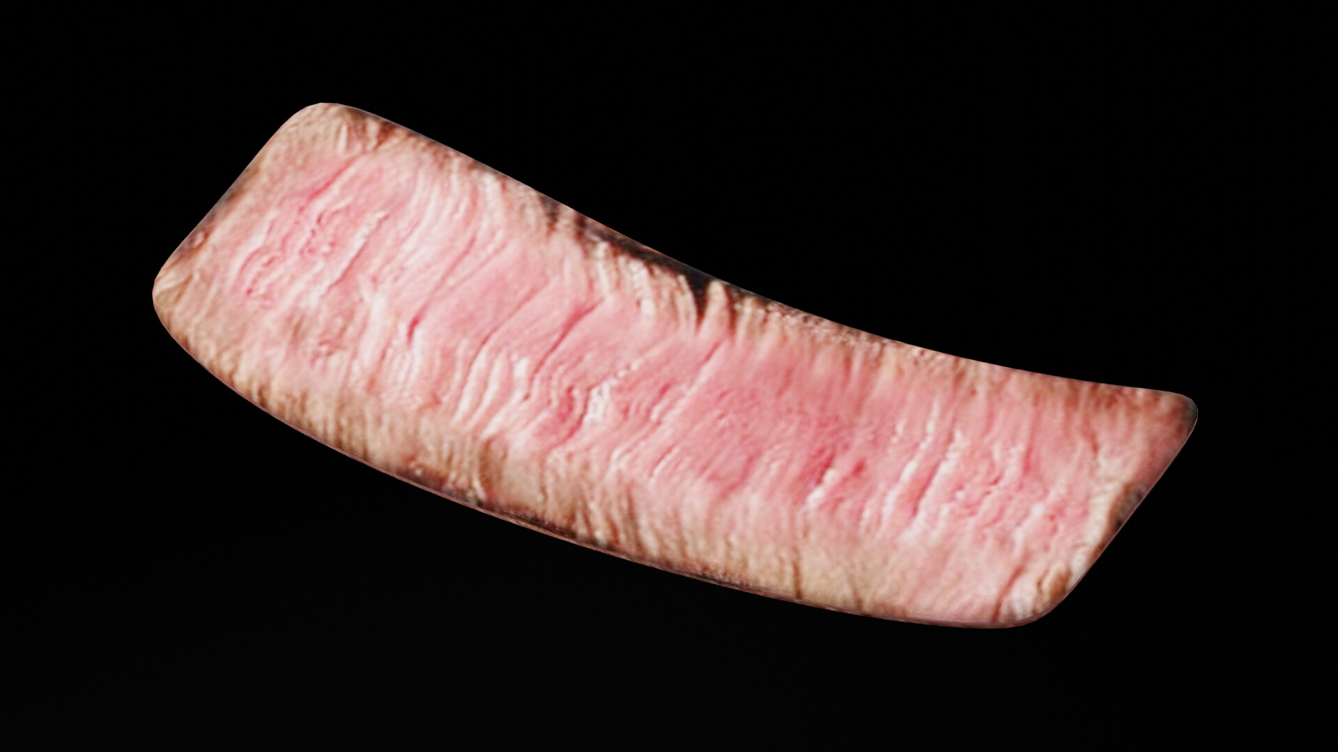 Slice of Beef - 3D Model by thedazking