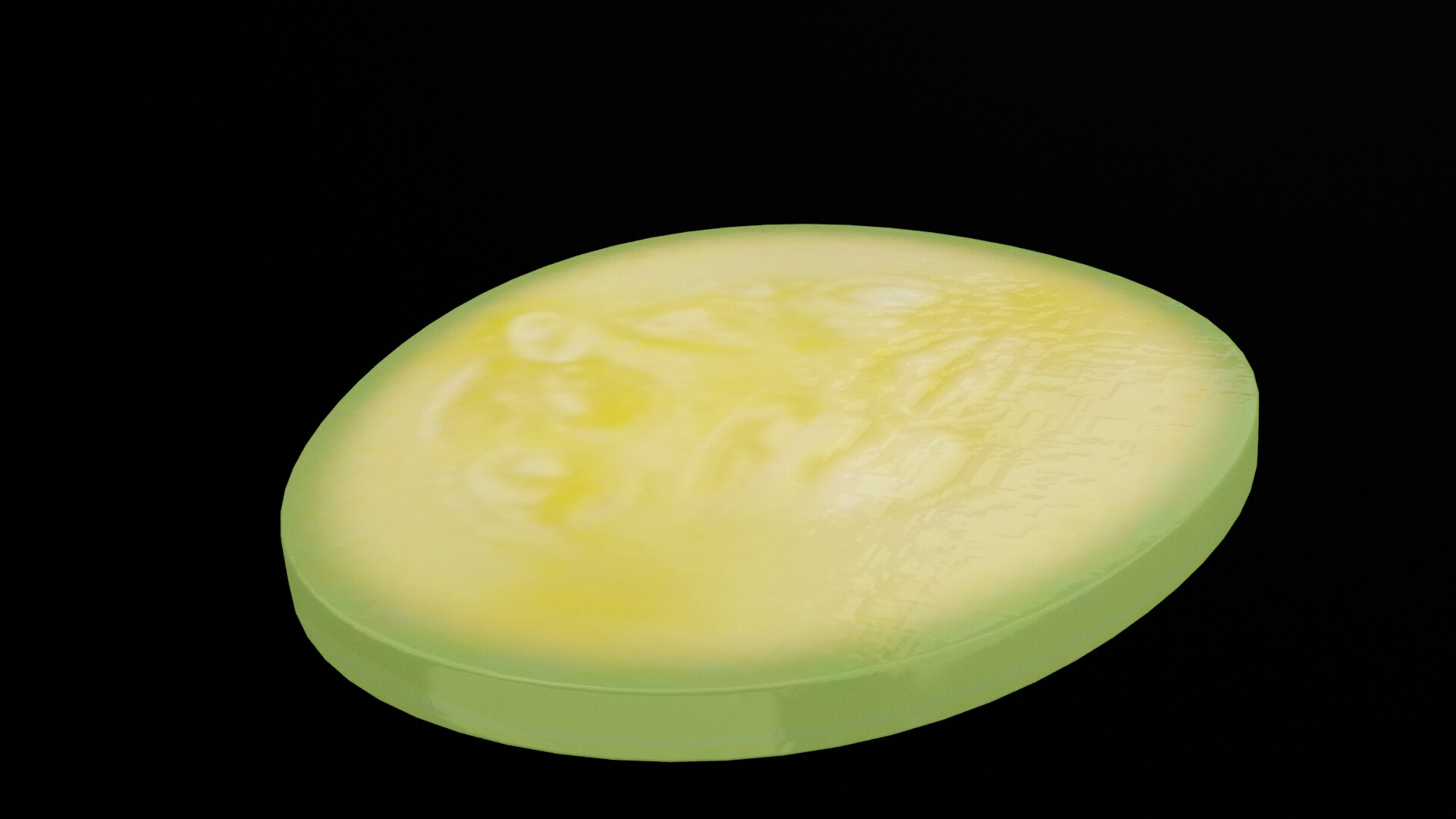 Slice of Pickle - 3D Model by thedazking