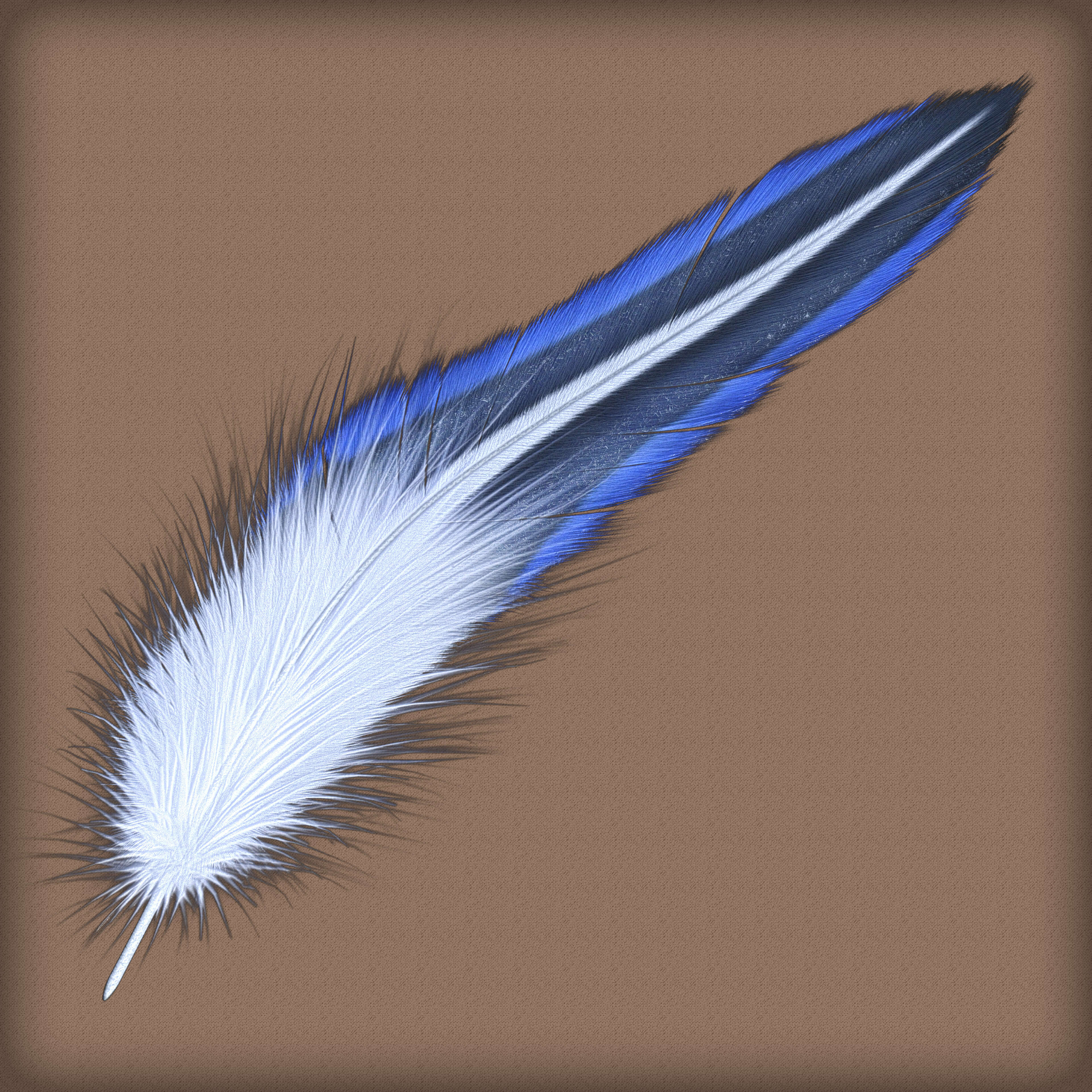 Tickling Feather - Free Daz Content by TheDevian