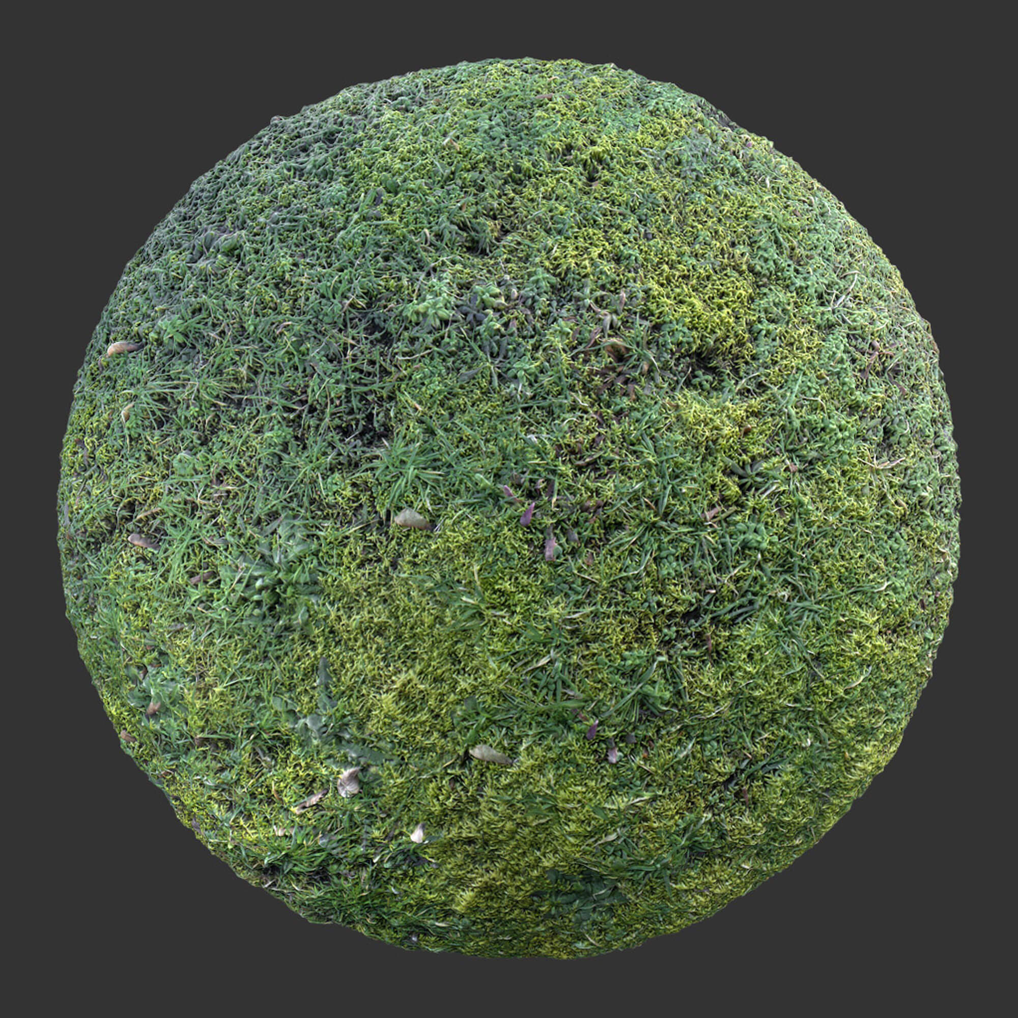 26 Texture Ground 1 Bundle by things