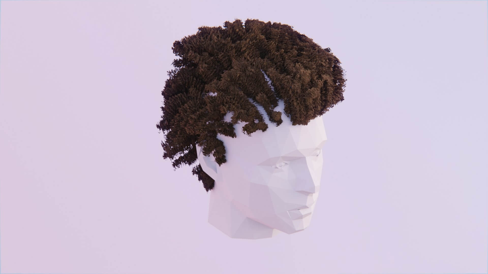 Afro Hair - 3D Model by tikosgames