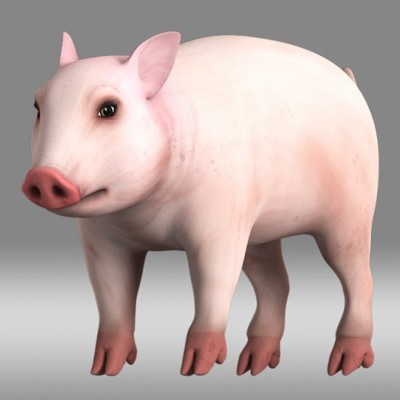 Cartoon Pig - 3D Model by tingting