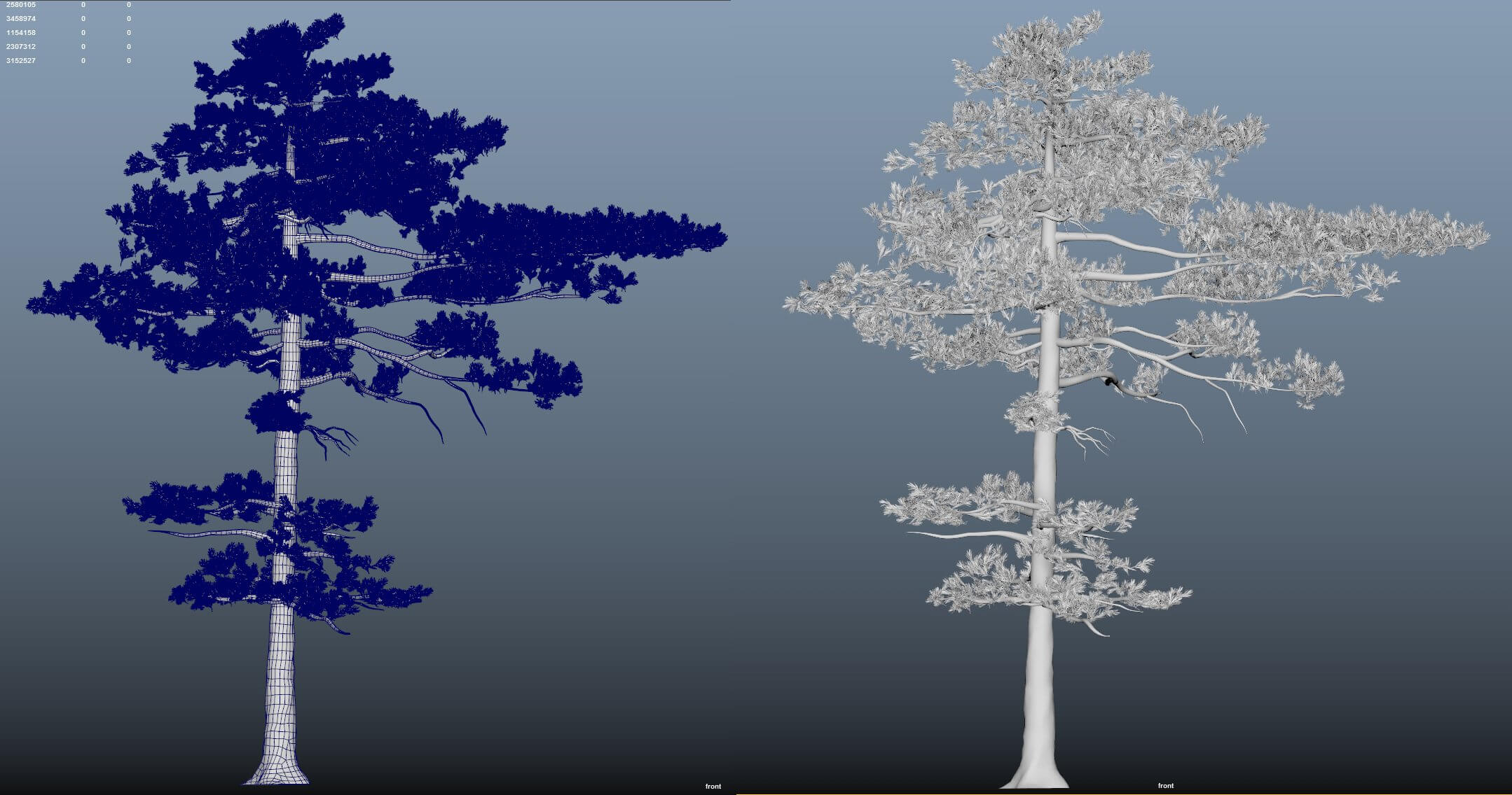 Pine Tree - 3D Model by tingting