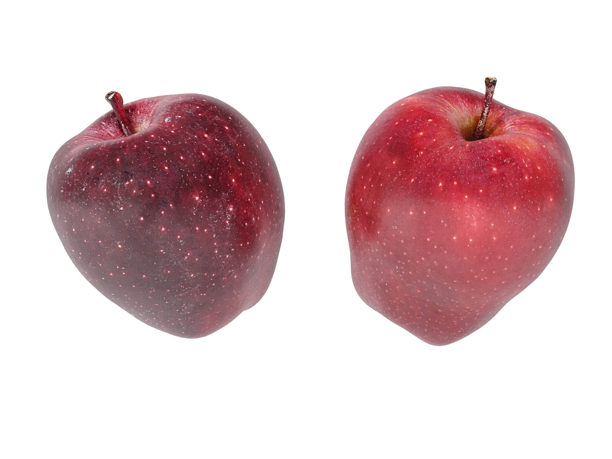 Apples Red Delicious 7 Models - 3D Model by TmHill