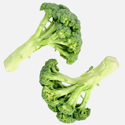 Broccoli Bunch 4 Models - 3D Model by TmHill