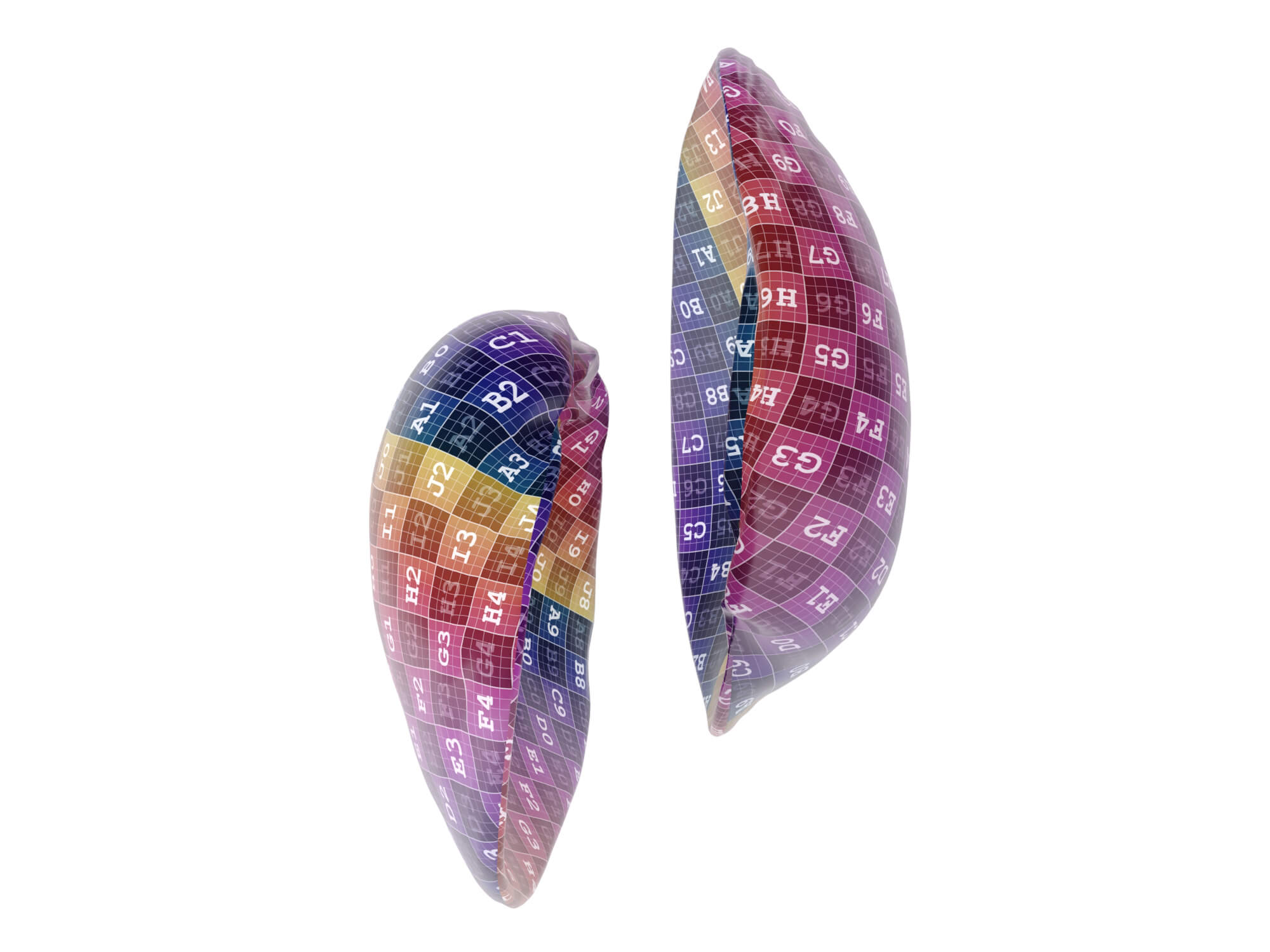 Clams 1 Free - Free 3D Model by TmHill