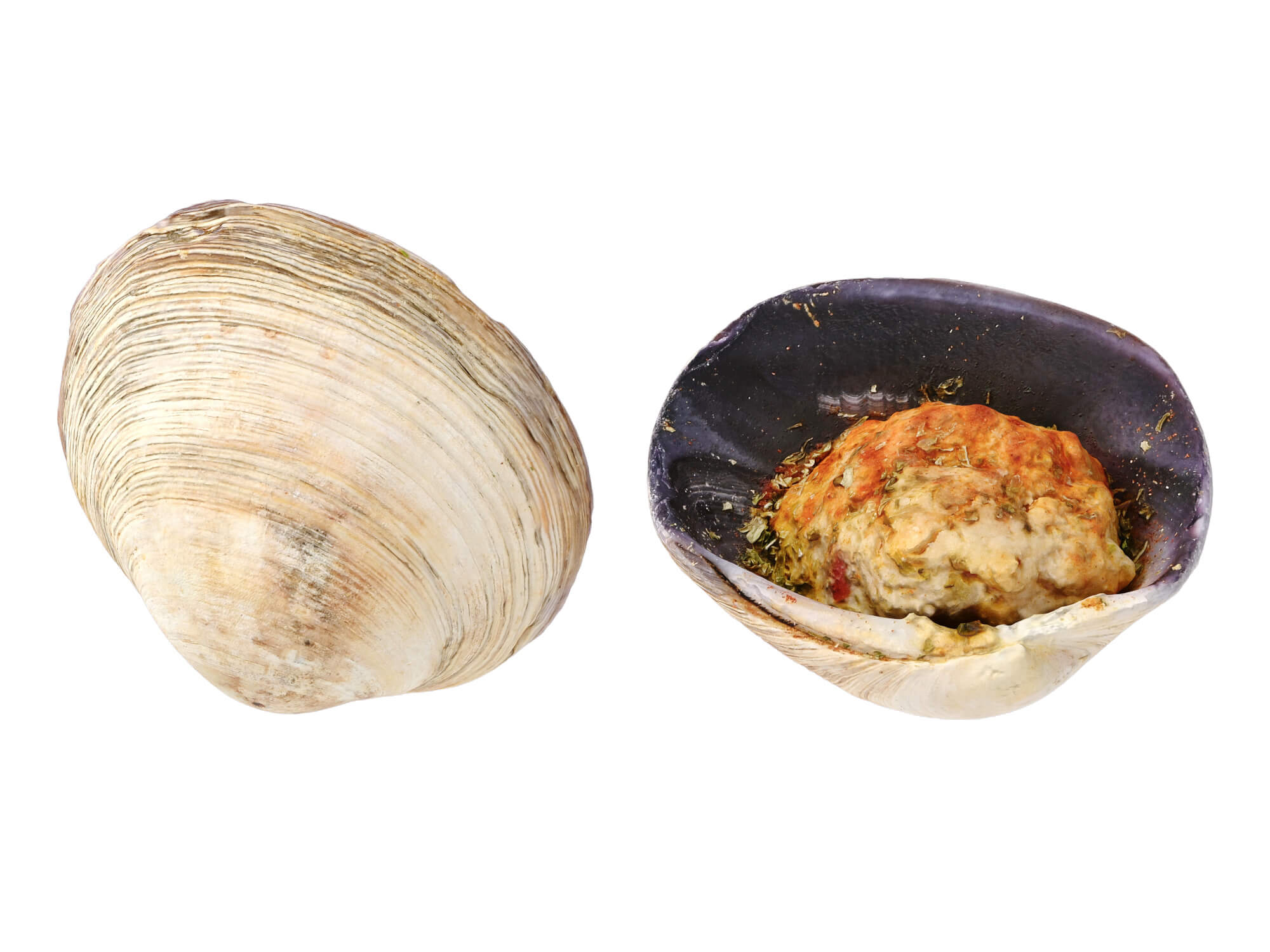 Clams (Stuffed) 7 Models - 3D Model by TmHill