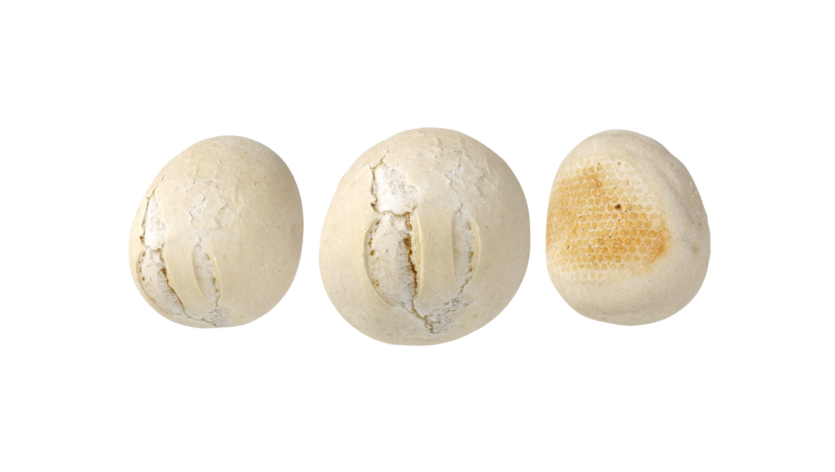 Crusty Rolls 9 Models - 3D Model by TmHill